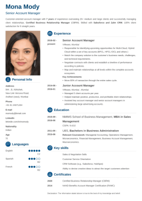 18+ Professional CV Formats: Curriculum Vitae to Download