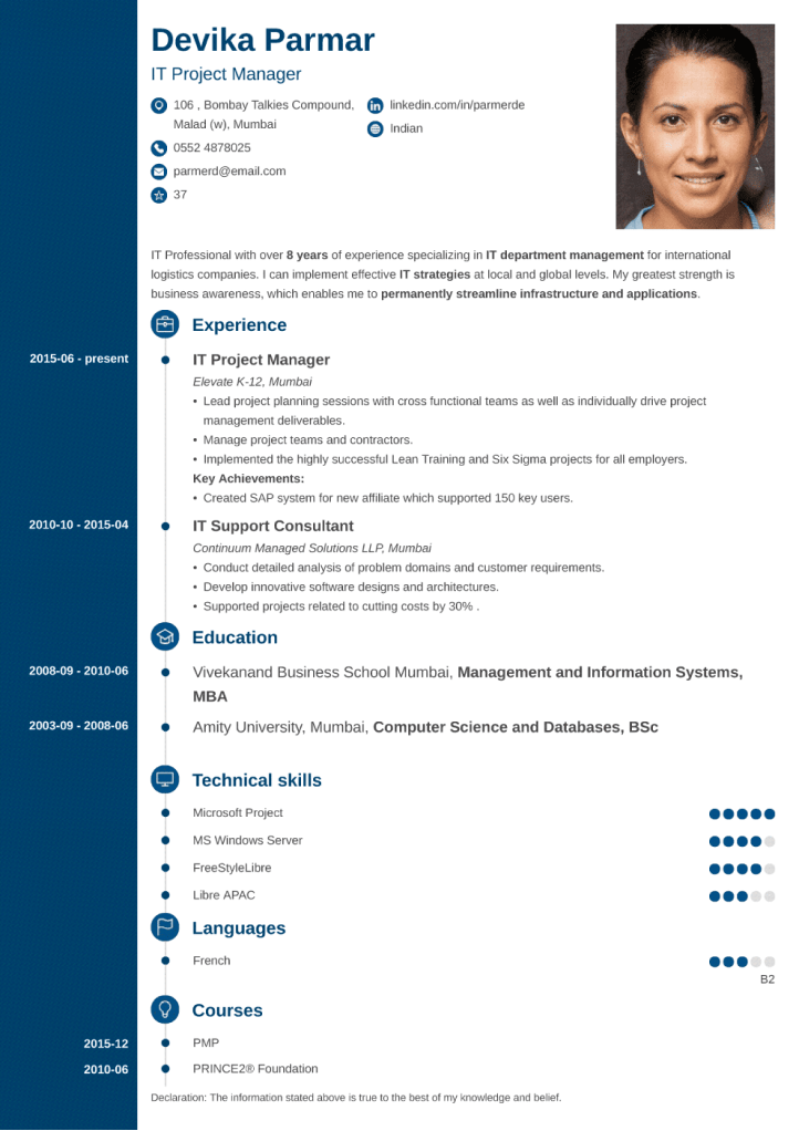 18+ Professional Resume Formats: Fill in the Blanks & Land a Job