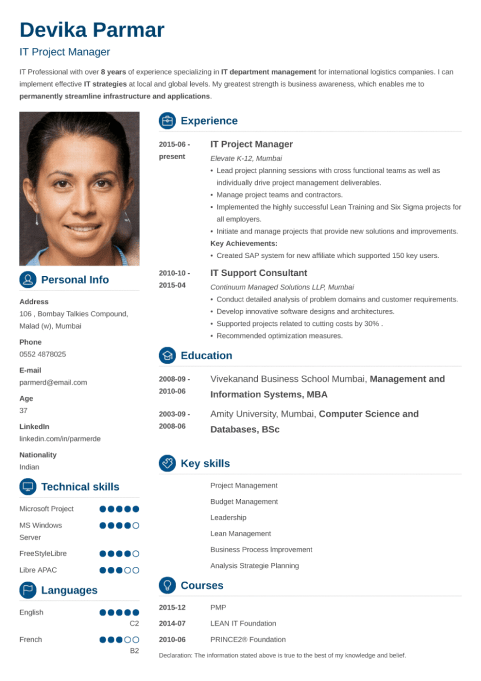 18+ Professional Resume Formats: Fill in the Blanks & Land a Job