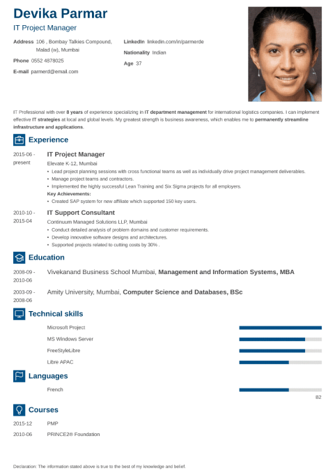 18+ Professional Resume Formats: Fill in the Blanks & Land a Job