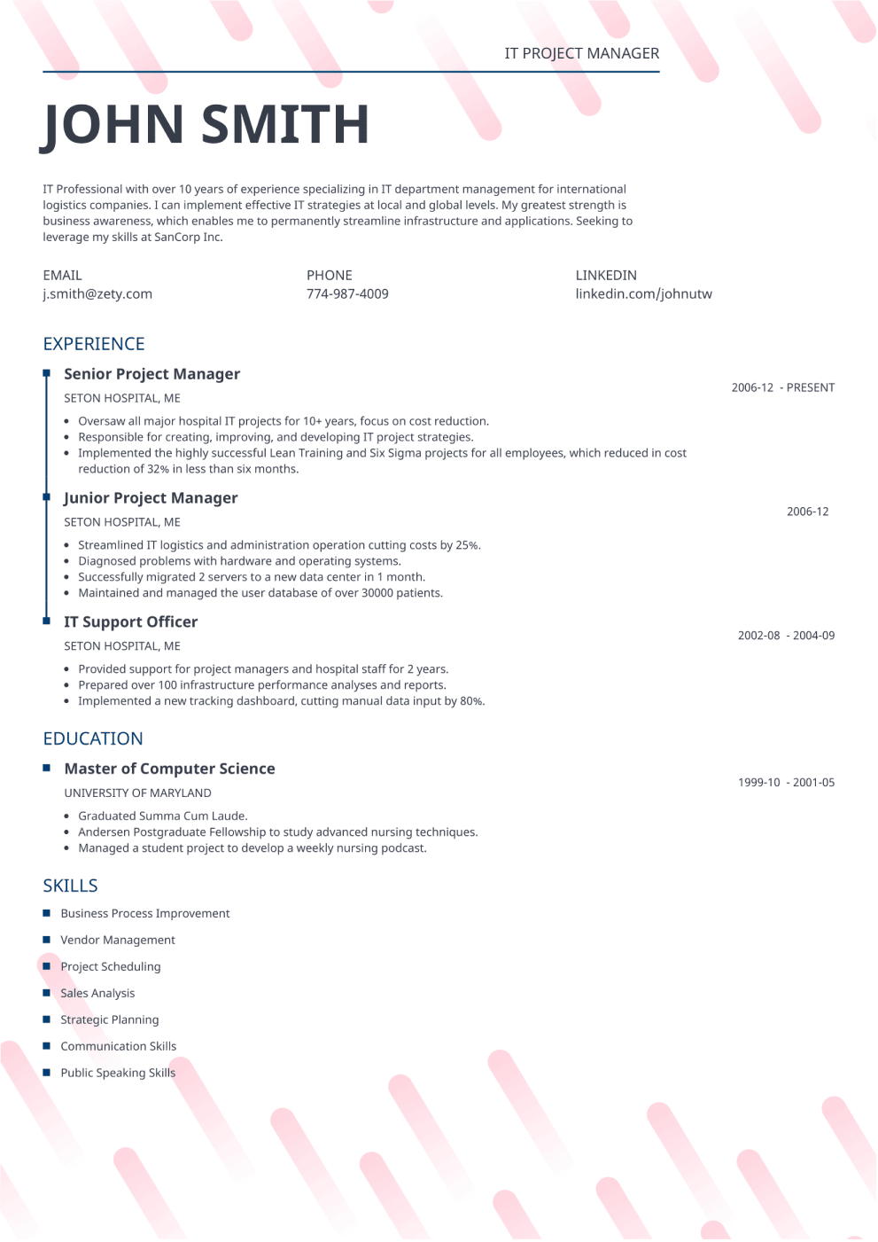 20+ CV Templates That Will Get You the Job