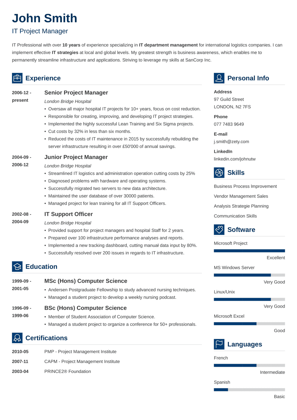 20+ CV Templates That Will Get You the Job