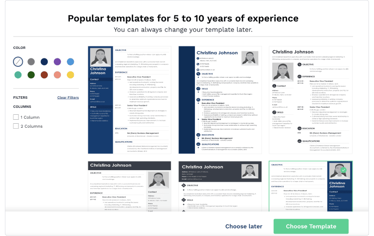 18+ Professional CV Formats: Curriculum Vitae to Download