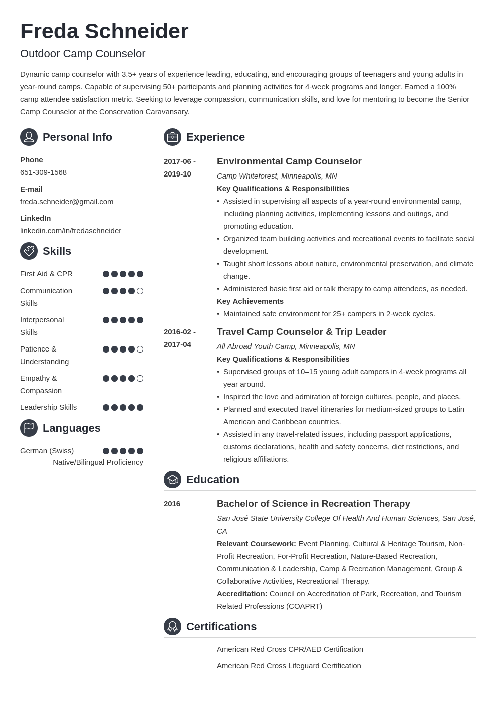 Camp Counsellor CV—Examples and 25+ Writing Tips