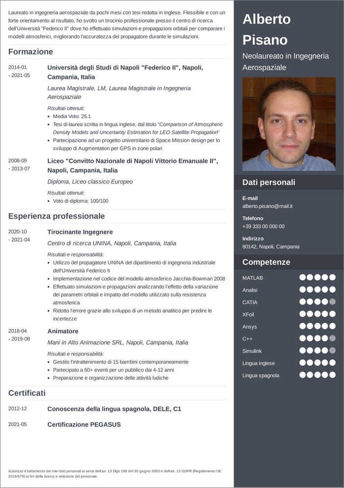 21 modelli curriculum vitae da compilare e scaricare PDF
