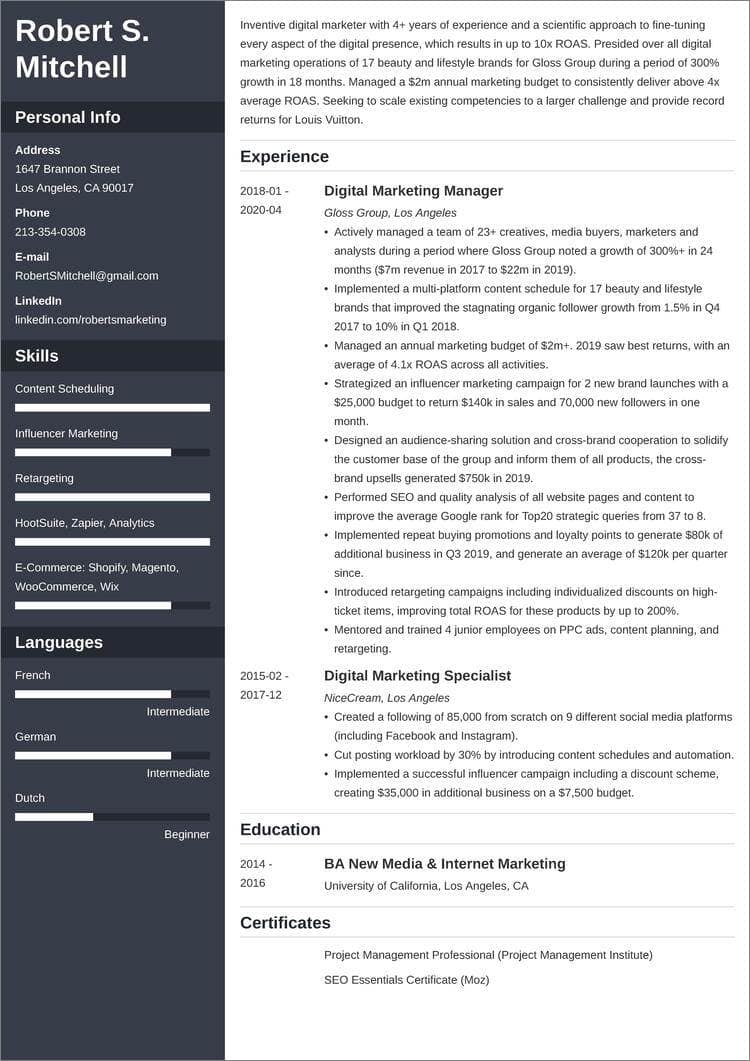 Digital Marketing Resume Examples Writing Guide For 2023