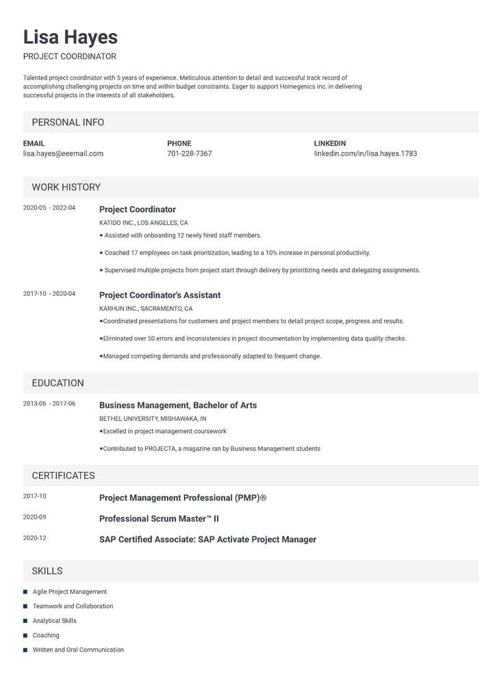 Best Resume Formats Ultimate Guide For 2023 