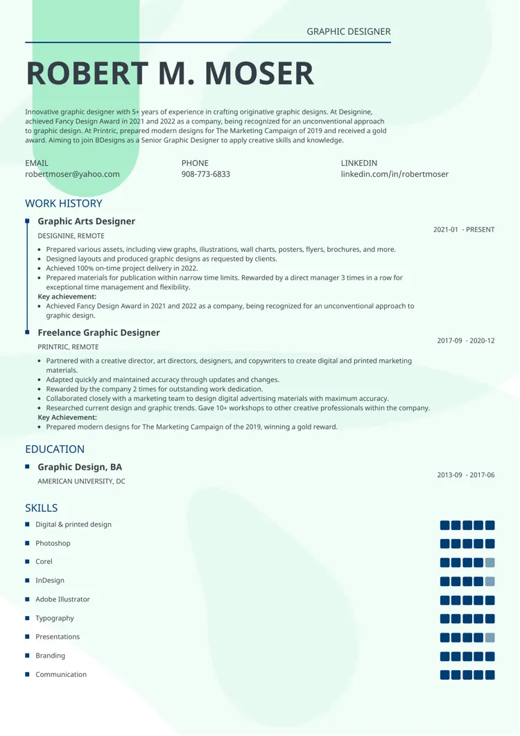 Infographic Resume Examples