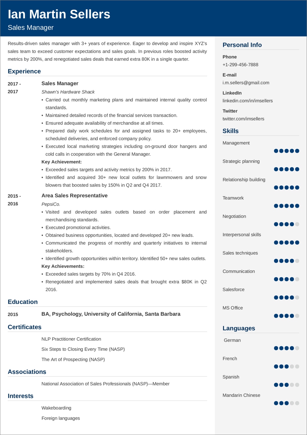 Sales Manager Resume Sample 25 Examples And Writing Tips Sales Manager Resume Sample 25 Examples And Writing Tips