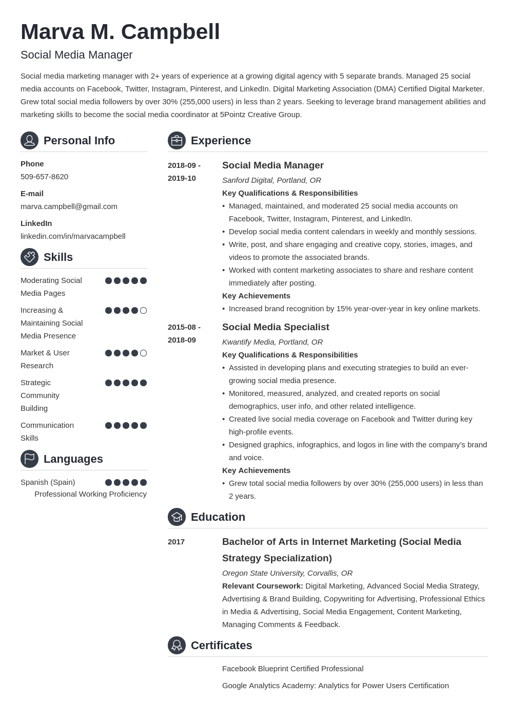 Social Media CV Examples And 25 Writing Tips